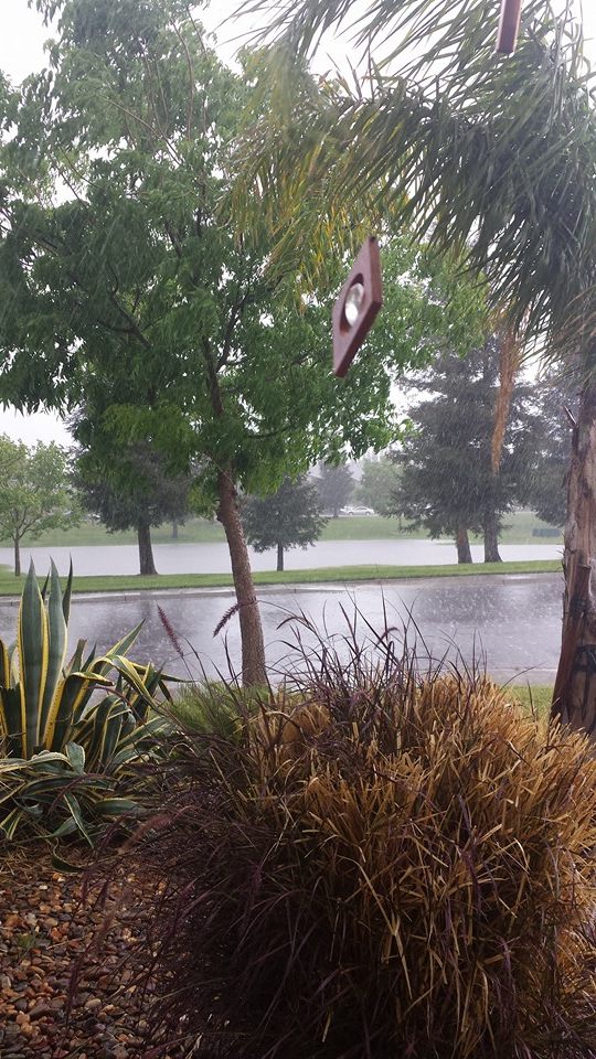 What July rain means for upcoming rainy season | abc10.com