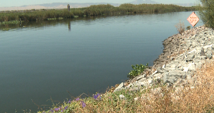 Delta levees pass inspection after Napa earthquake | abc10.com