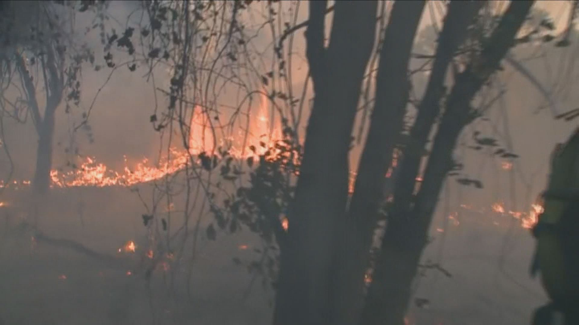 See smoke? Brush fire burning along Garden Highway | abc10.com