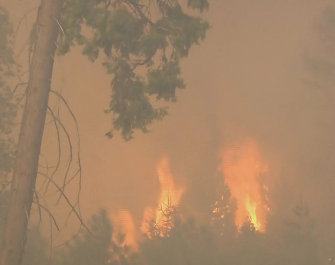 How did the King Fire spread so quickly? | abc10.com