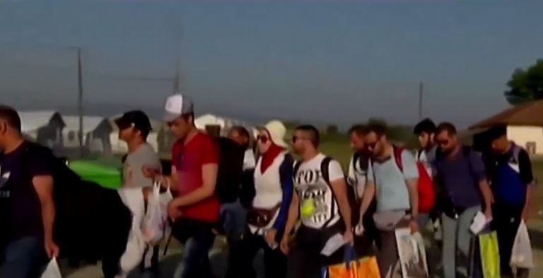 Questions raised on screening process as Syrian refugee crisis ...