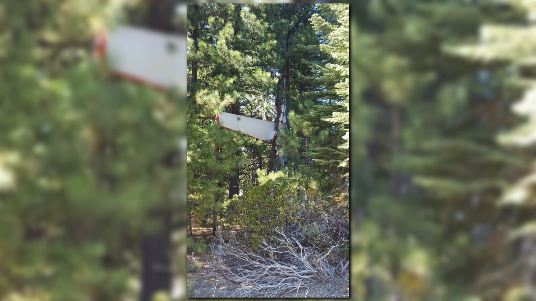 Glider plane crashes into trees on I-80 near Blue Canyon | abc10.com