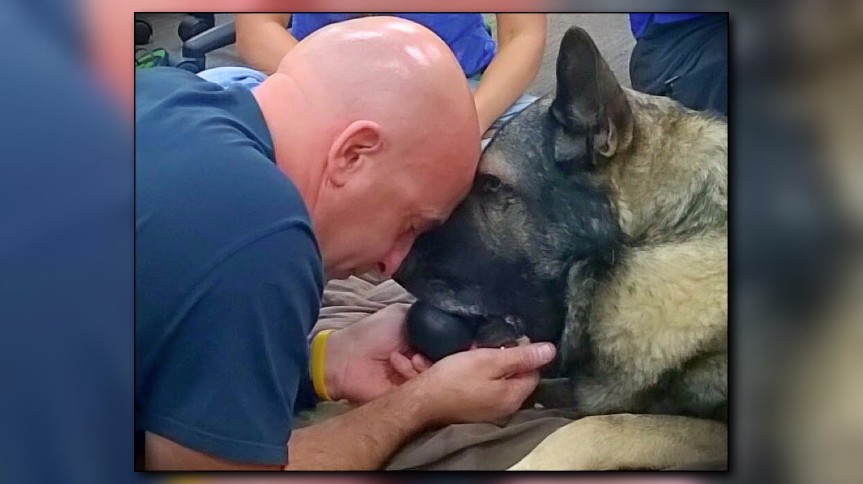 Sacramento Police K9 Bodie has passed away | abc10.com