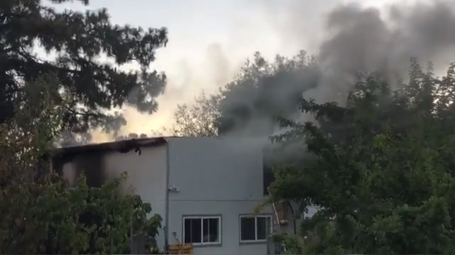 Fire damages building at Sacramento County fish hatchery | abc10.com